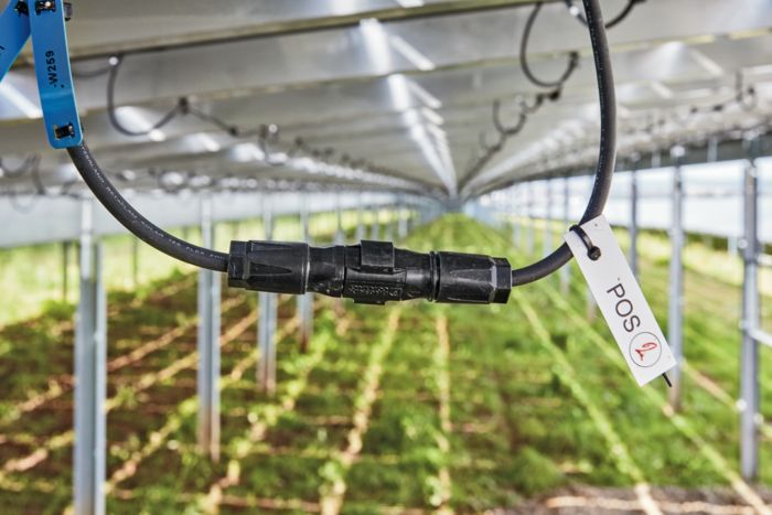 Photovoltaic connectors | Phoenix Contact